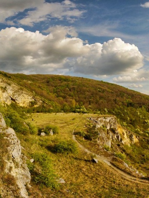 Bratislava Region | Národná prírodná rezervácia Devínska Kobyla