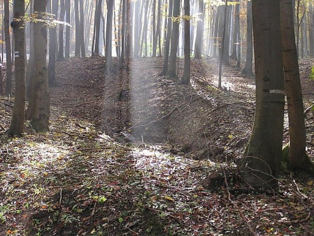 Bratislava Region | Náučný chodník Modra - Harmónia